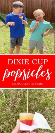 How to Make Dixie Cup Popsicles