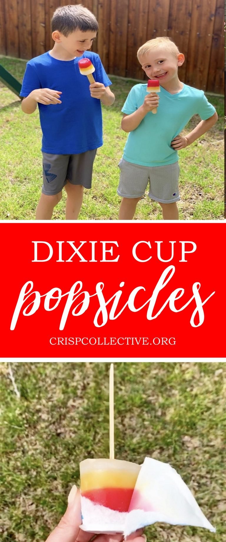 How to Make Dixie Cup Popsicles