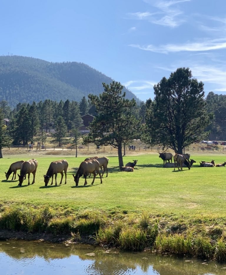 Our Trip to Denver